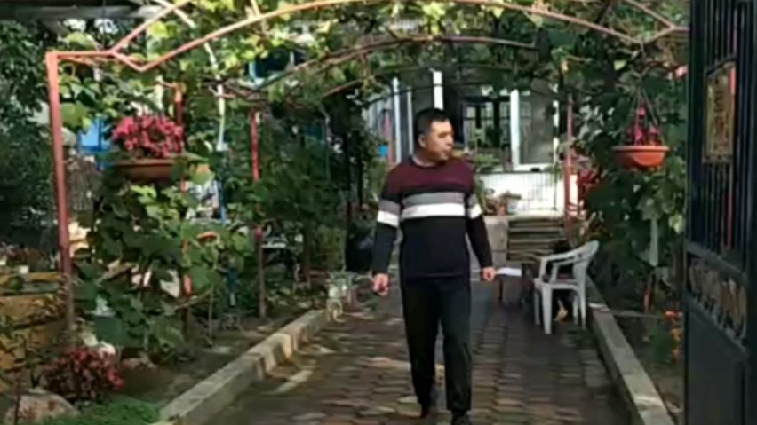 种植在这个地方这韭菜,生长的速度特别快。不亚于大棚里生长速度