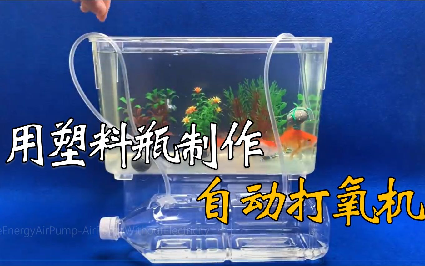 一个塑料瓶就能制作自动打氧机,不用电不用水泵,每年省几千电费
