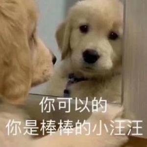 小羊努力写论文 