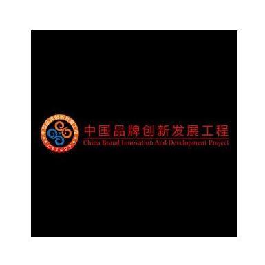 中国品牌创新发展