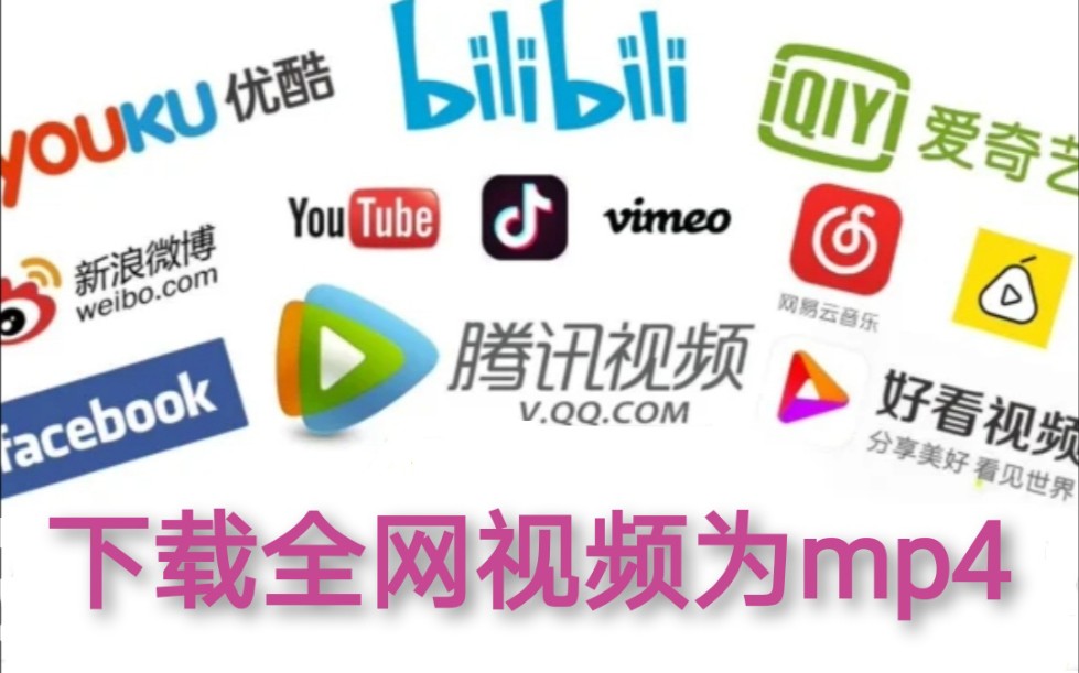 如何下载全网视频的格式为mp4【实用技巧28】