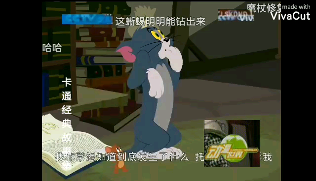 中央电视台少儿频道CCTV-14 动漫世界卡通经典故事集中场休息广告 ...