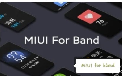 小米手环4NFC版(MIUI for watch)可以使用第三方表盘哦～