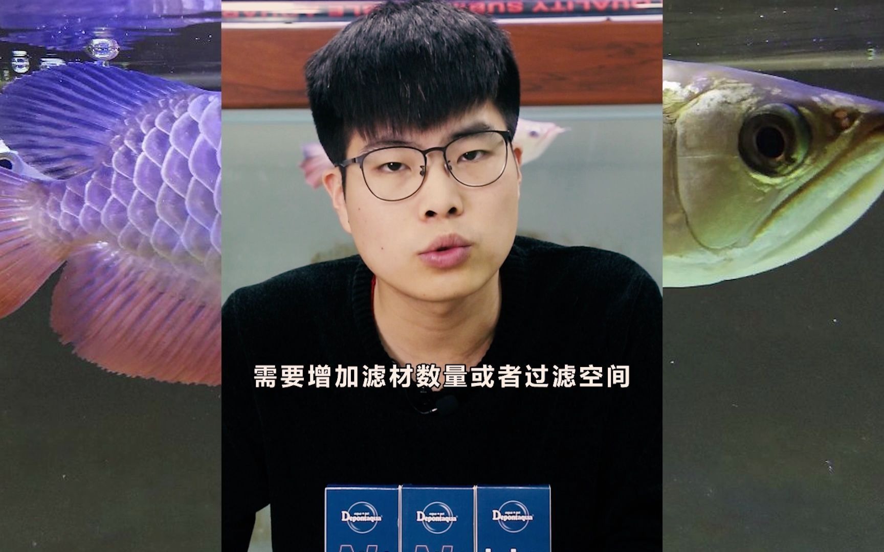 水族小知识,鱼缸水质,该测哪些指标?