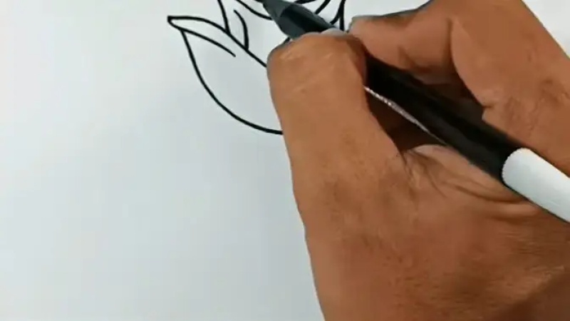 跟着视频学画画:画有高级感的玫瑰