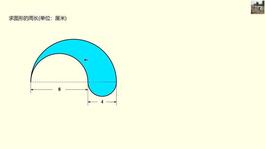 小学六年级数学图形的周长