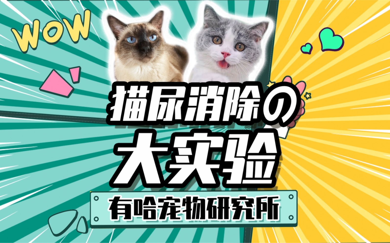 被猫尿过的床单要怎么处理?去渍产品的真实效果,都在这条啦。