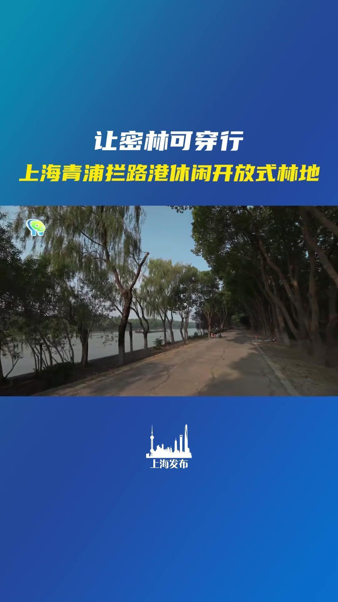 你想在这片"元气森林"里行走吗?拦路港休闲开放式林地位于#上海青浦...