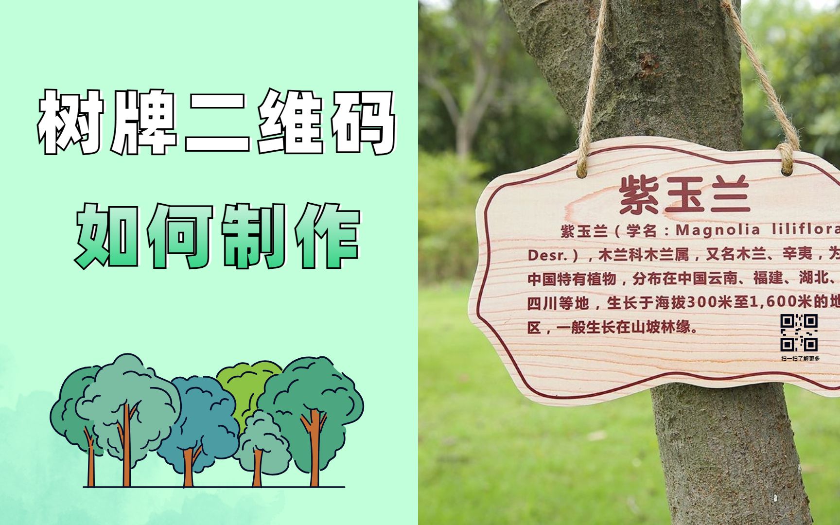 ...树牌二维码如何制作?扫码即可查看丰富的植被知识。可以直接使用...