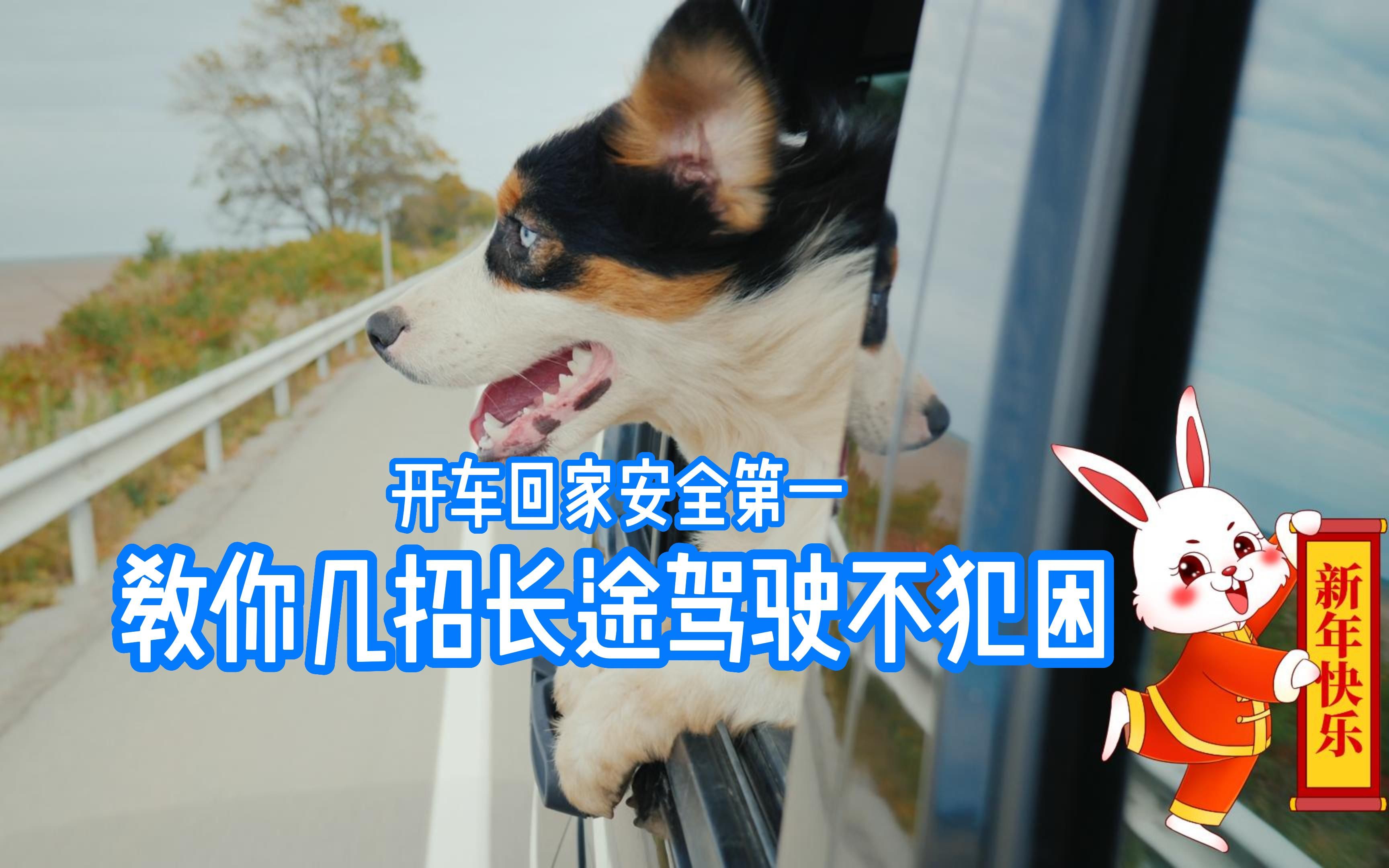 开车回家安全第一 教你几招长途驾驶不犯困