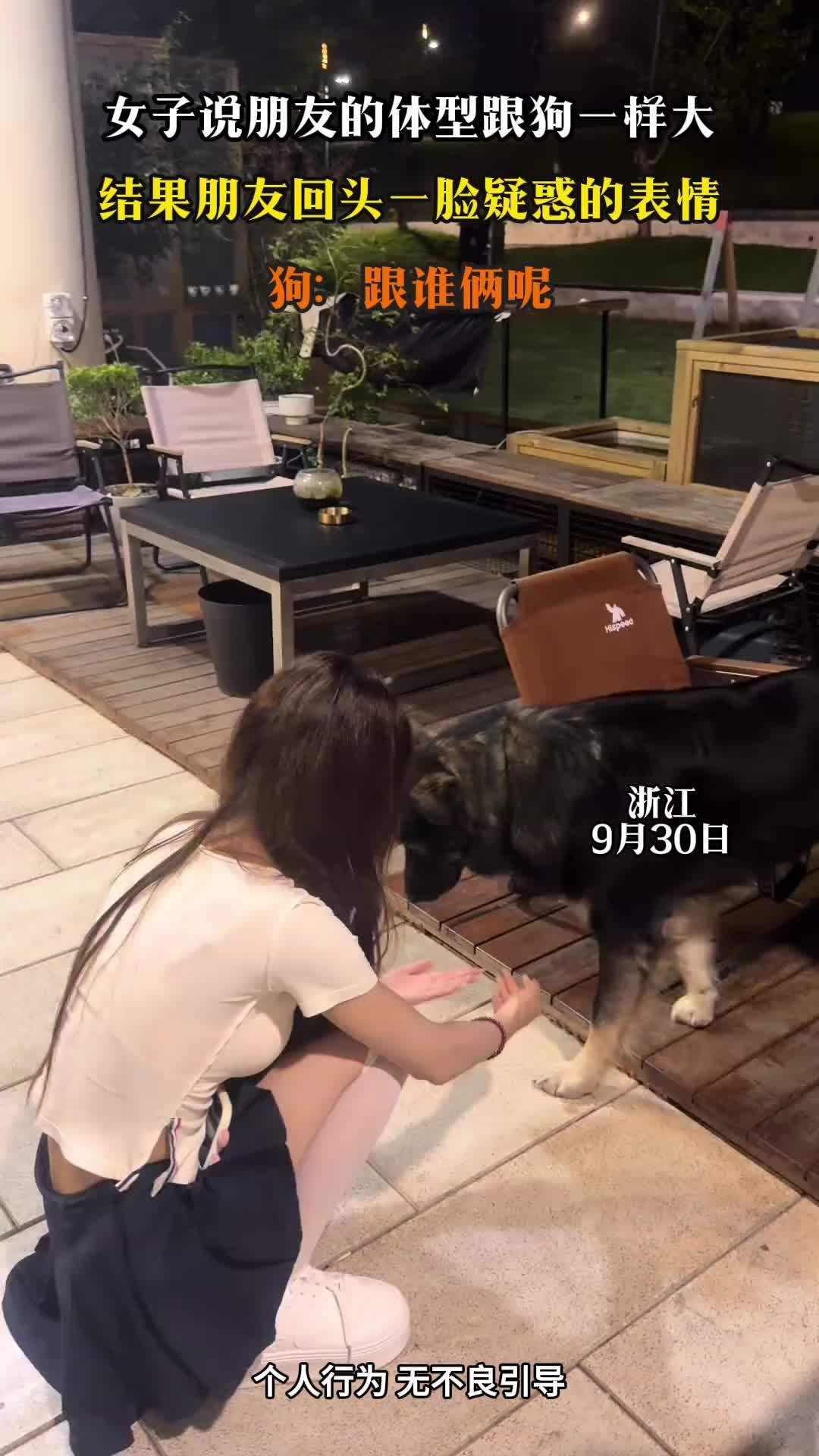 女子说朋友的体型跟狗一样大,结果朋友回头一脸疑惑的表情