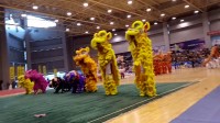 江西舞龙舞狮南昌舞龙舞狮开幕式演出18870005700