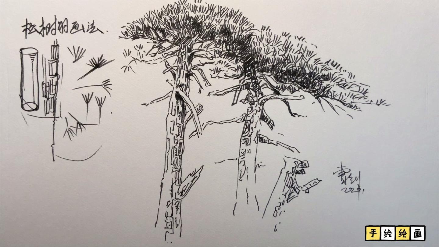 松树怎么画?手绘钢笔速写,入门级教程
