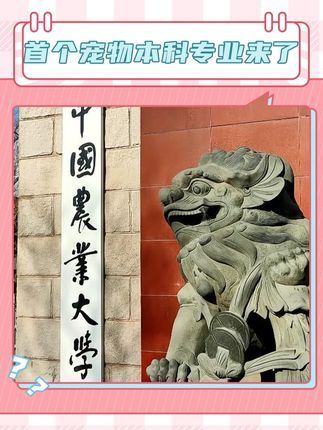 怎么等我毕业了才说啊#宠物 #本科 #专业 #中国农业大学