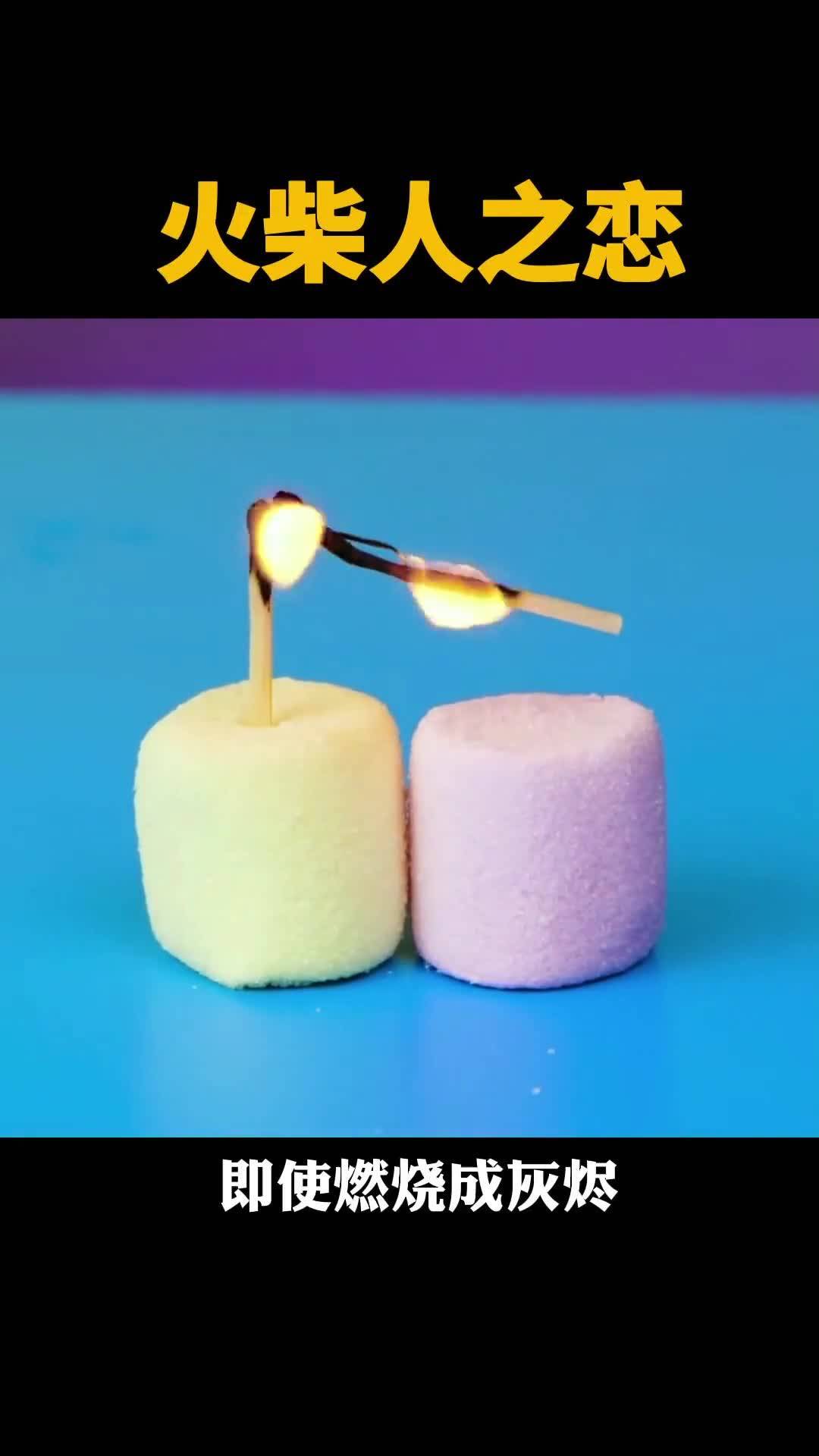 一个简单的科学小实验诠释了人生