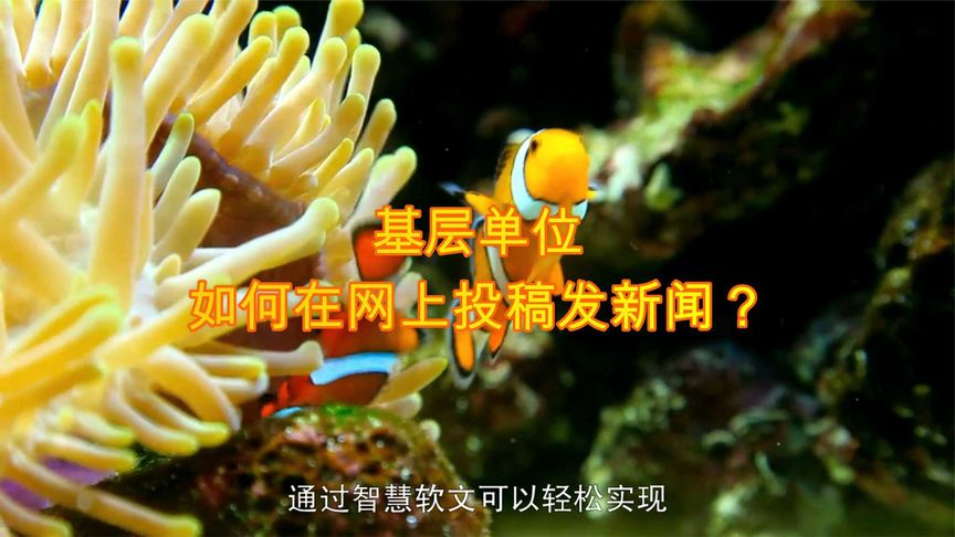 基层单位如何在网上投稿发新闻?
