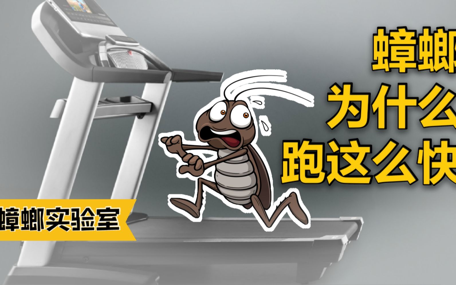 【蟑螂实验室】为什么蟑螂跑得这么快?