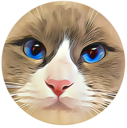 冬冬酱的猫Catniphy 