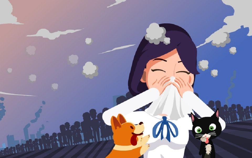 擦不完的鼻涕哪来的?