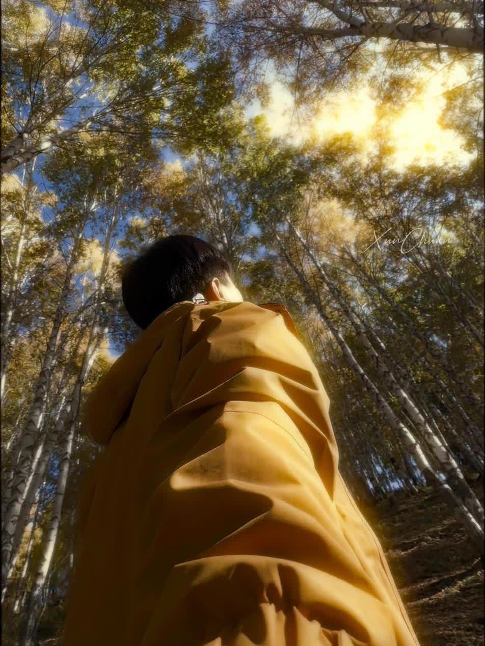 9.21 阿勒泰的秋天直接封神#阿勒泰 #新疆 #我的阿勒泰 #白桦林