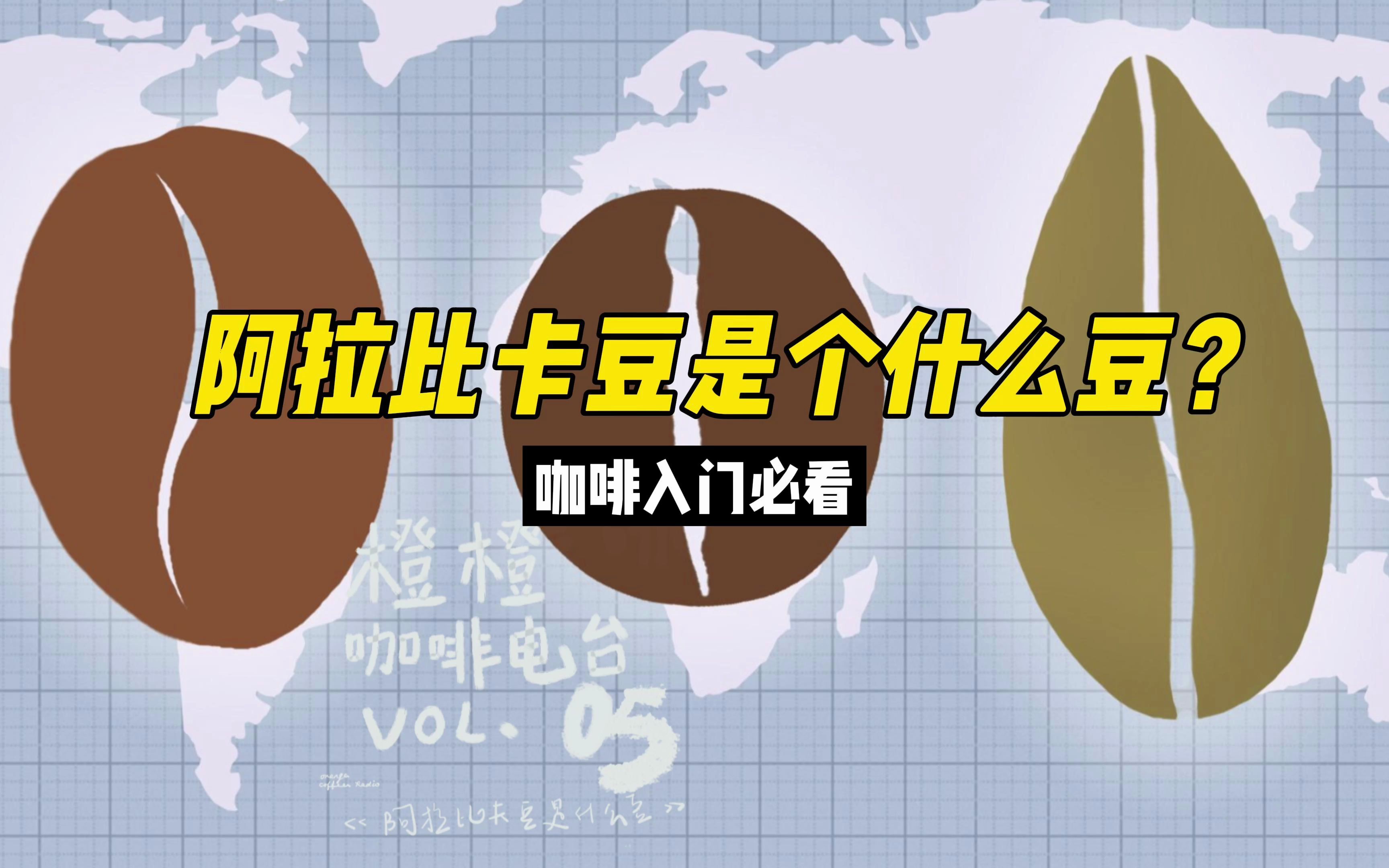 阿拉比卡豆是个什么豆?看完就明白
