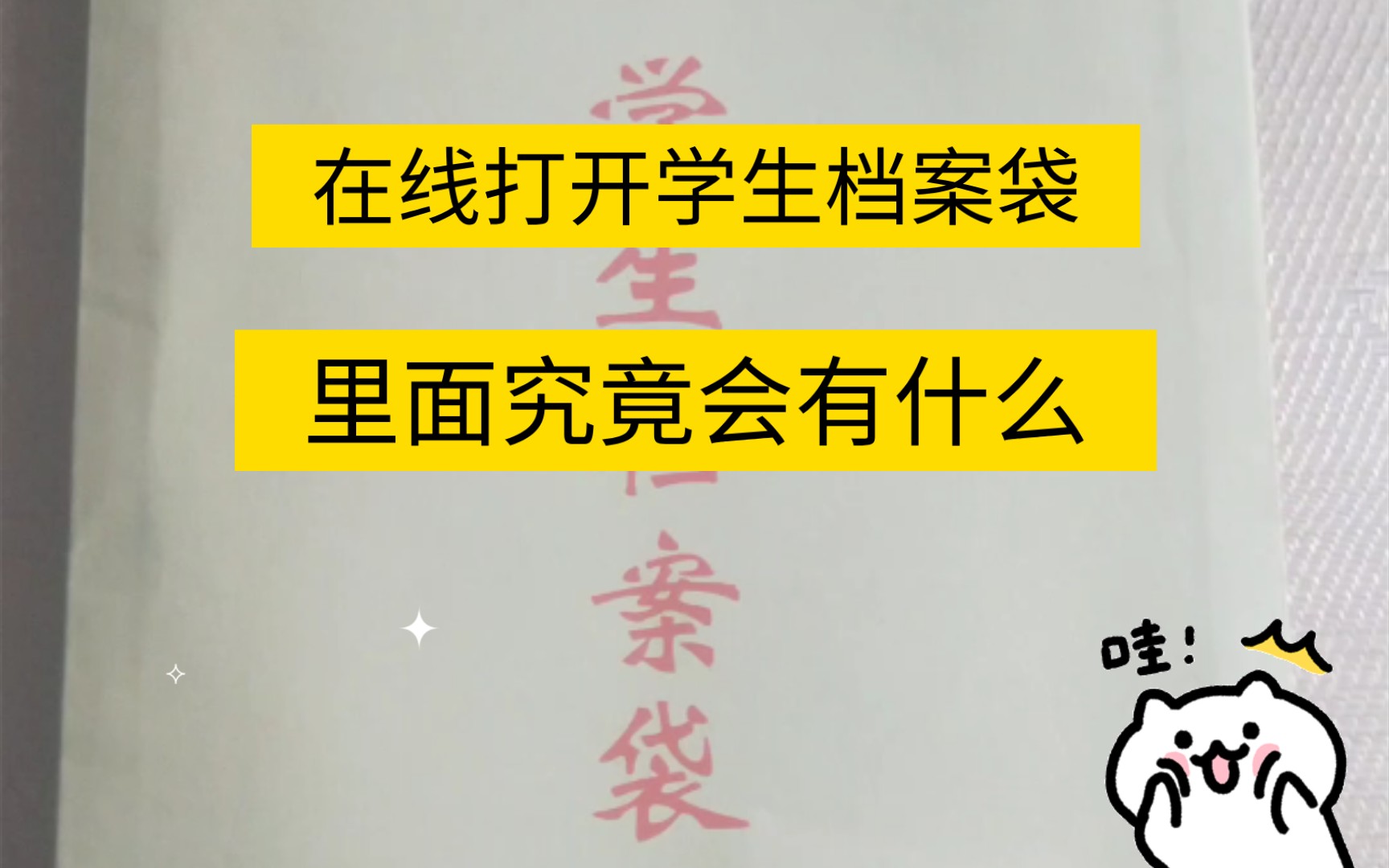 在线打开学生档案,里面究极有什么