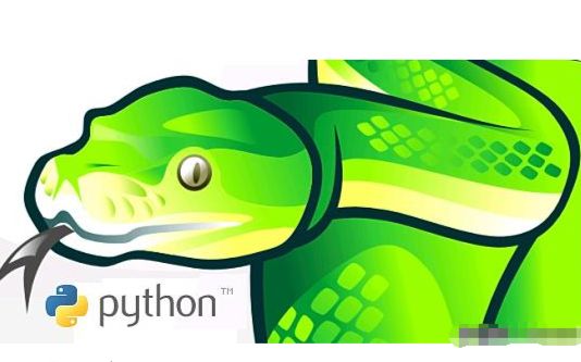 Python大牛现场开发10K的爬虫外包项目订单,到底是什么项目呢?