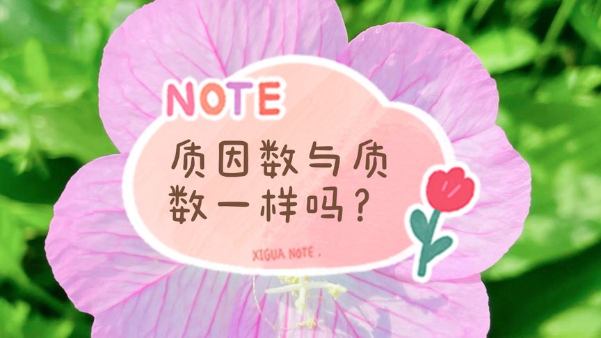 什么是质因数?(数的整除概念辨析之三)