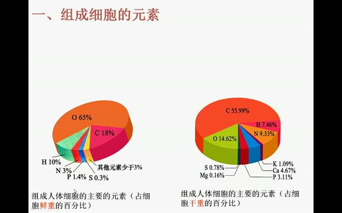 人教版 高中生物 必修一