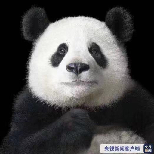 脸谱的世界 