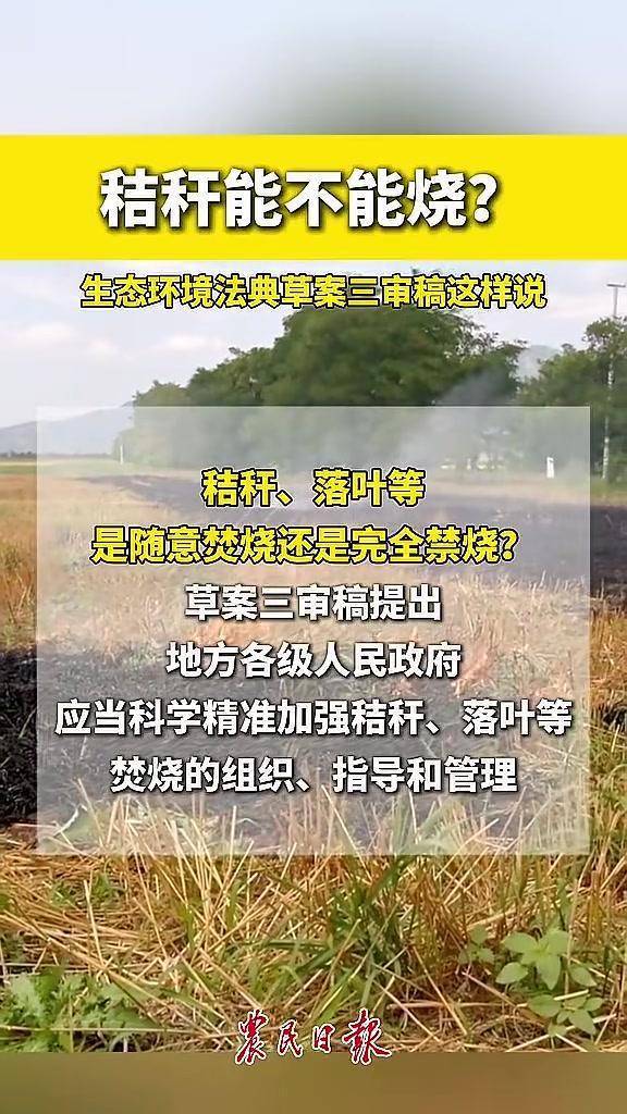秸秆能不能烧?生态环境法典草案三审稿这样说(来源:农民日报)#秸秆#...