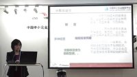 2013-11-04 张莹:中小企业财务风险管控