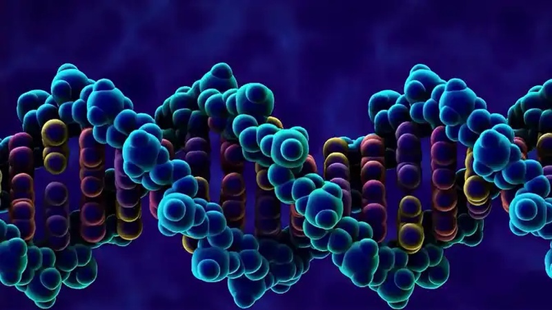 真核与原核生物对比:从细胞器到生物代谢的差异