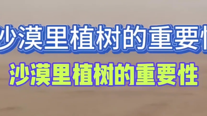 防沙治沙 沙漠变绿洲 塔克拉玛干沙漠 植树造林 沙尘暴