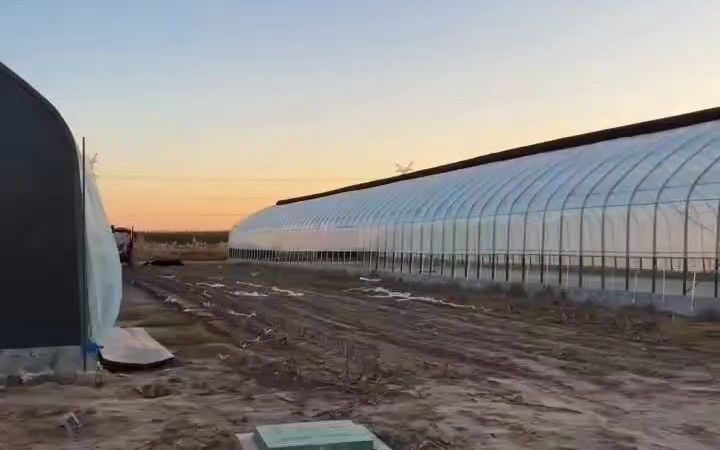 搭建种植大棚 保温蔬菜大棚安装 日光暖棚设计施工