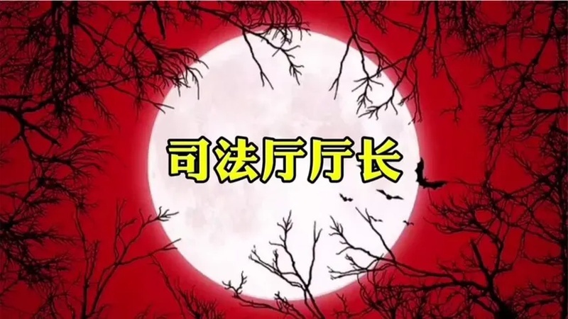 15.女司法厅厅长真实记录案件真实案件案件故事
