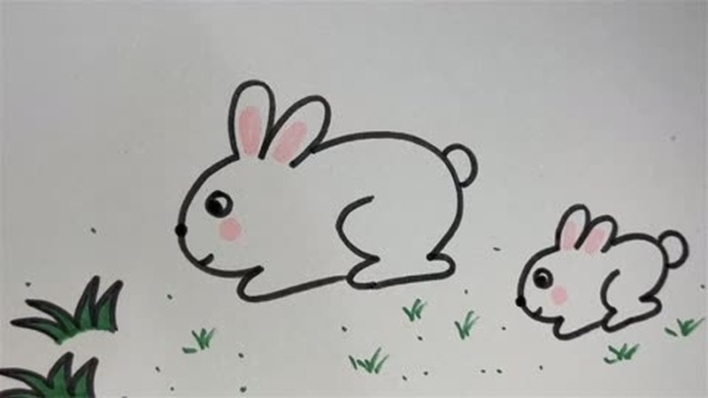 3秒画兔子,你学会了吗