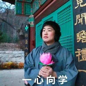 弗洛伊德的叛逆助手 