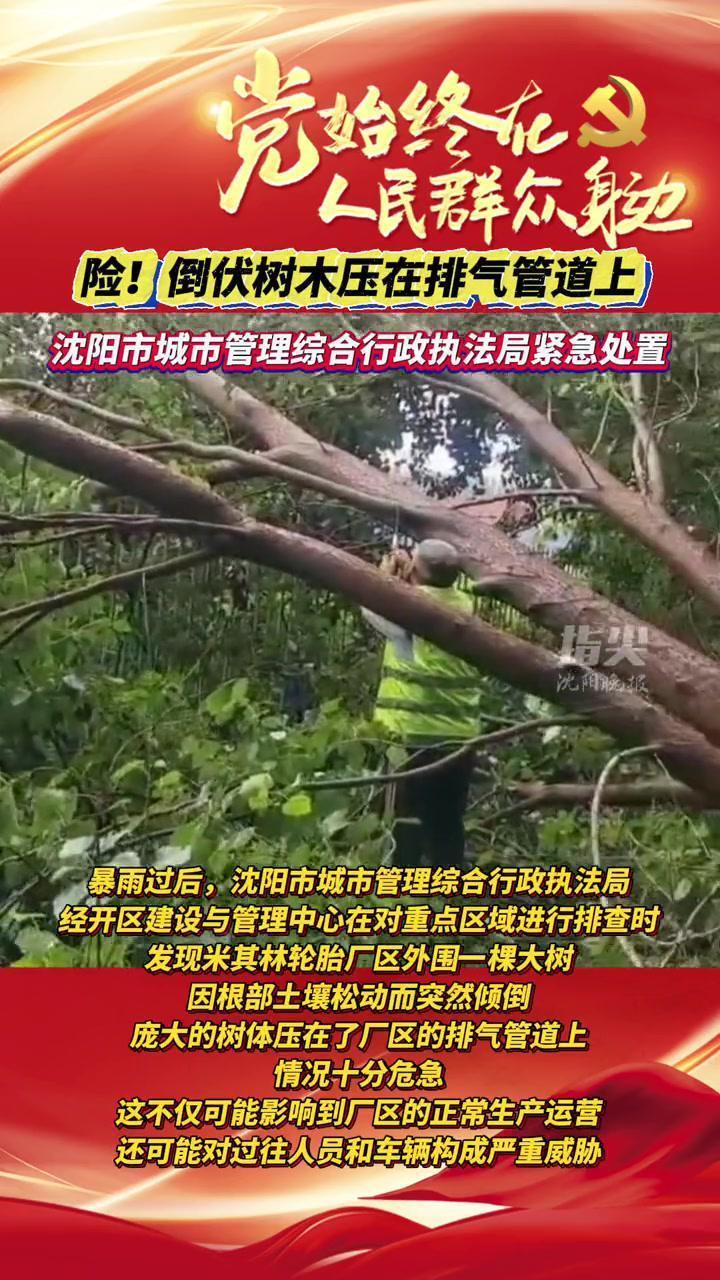 险!倒伏树木压在排气管道上,沈阳市城市管理综合行政执法局紧急处置(...