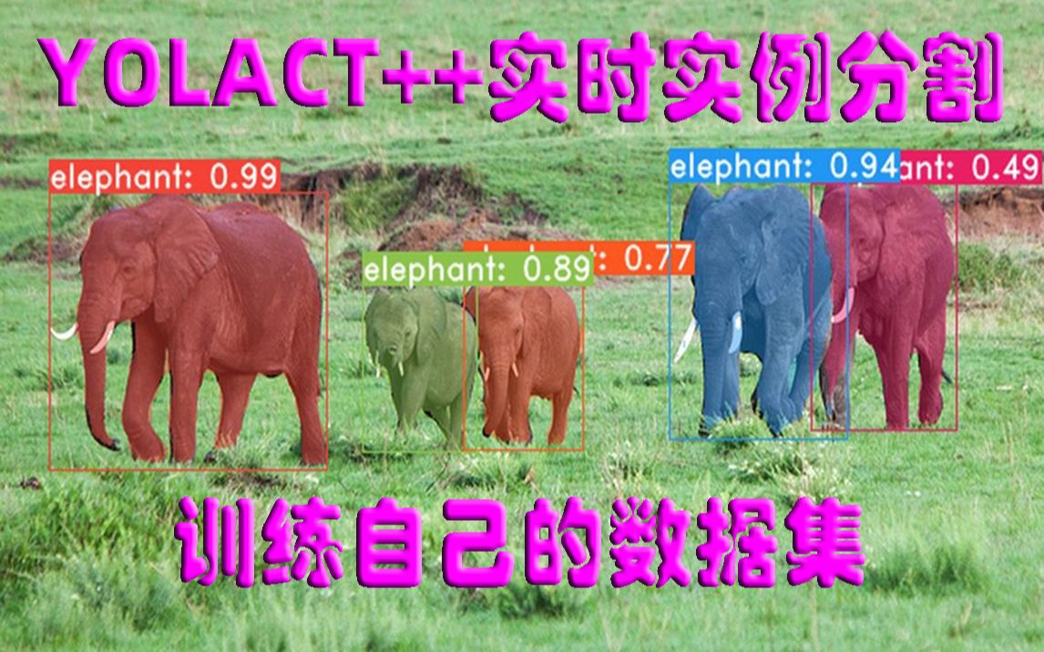 课程介绍: YOLACT++实时实例分割实战:训练自己的数据集