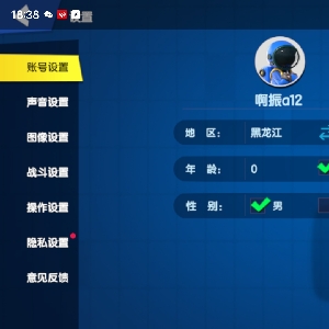 啊振a 