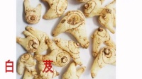 白芨_白芨价格_白芨价格走势__白芨的功效与作用_白芨的副作用
