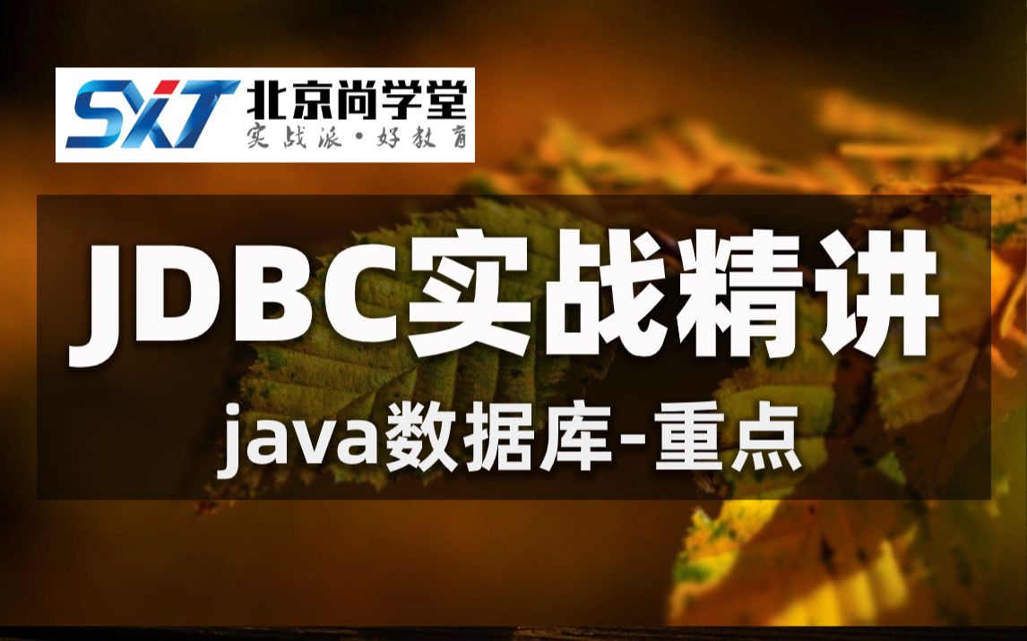 Java数据库JDBC从入门到精通视频教程_Java数据JDBC实战精讲_...
