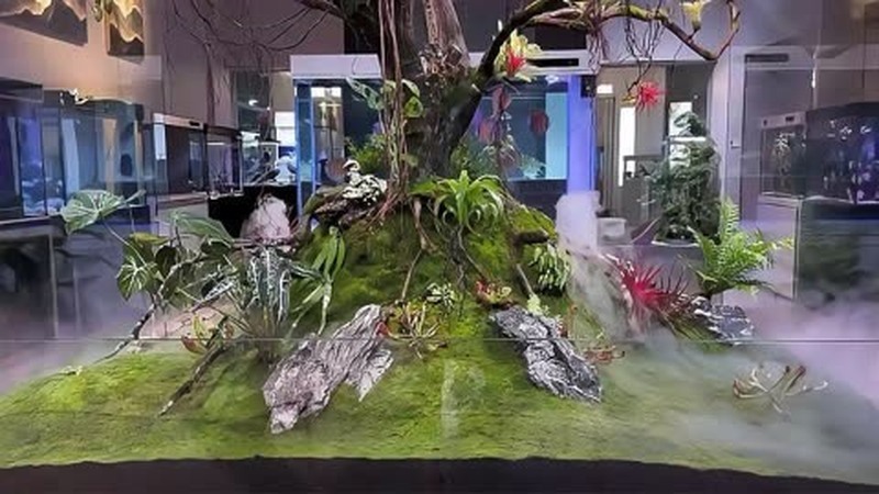 广州室内外景观设计公司(祥龙鱼场)