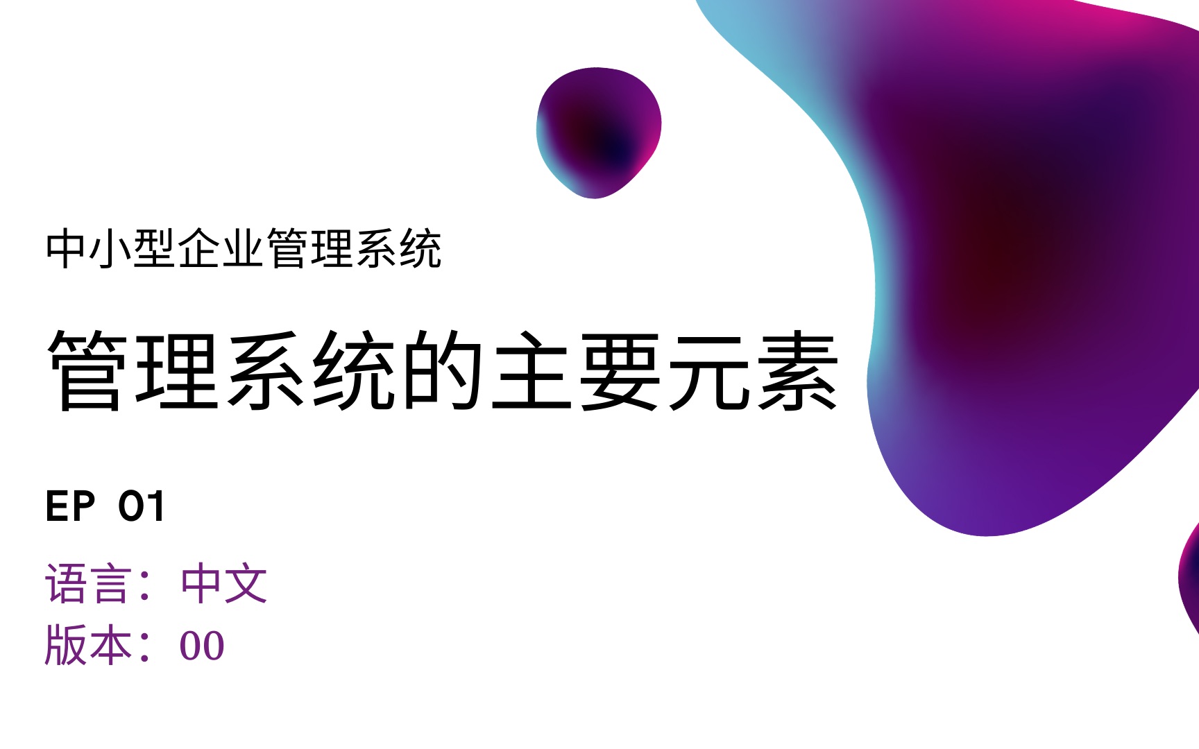 【Tina老师】EP2 | 公司管理系统的主要元素 | 00版