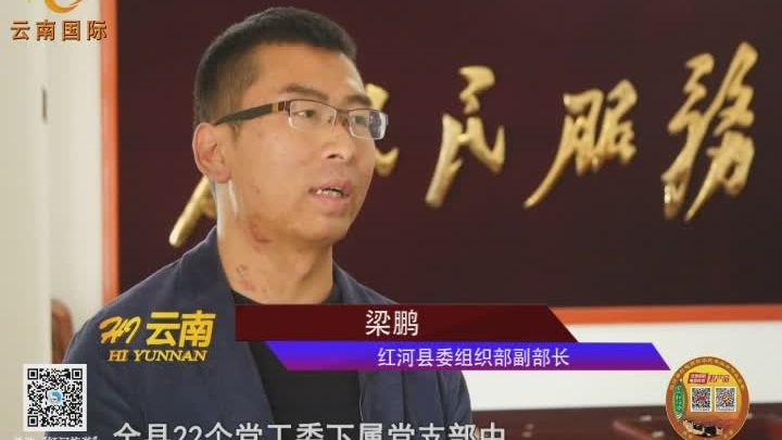 |密姹红河谷|红河县农村党支部规范化标准化建设成果显著