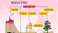 生物八年级下册4.3《物质循环》课本梳理