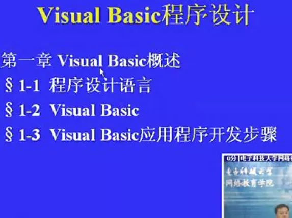 vb程序设计