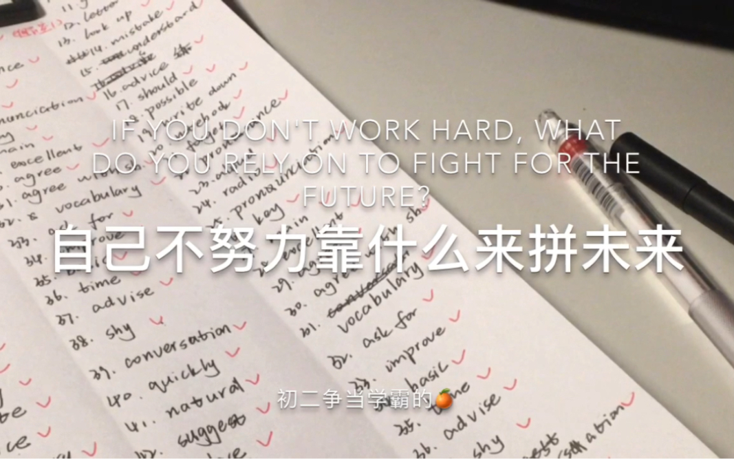 SA|初二|寒假的一整个自救计划|某人要求的桌面介绍