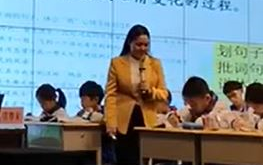 【公开课】《陀螺》 部编人教版小学语文`四年级(上册)YW04A-084